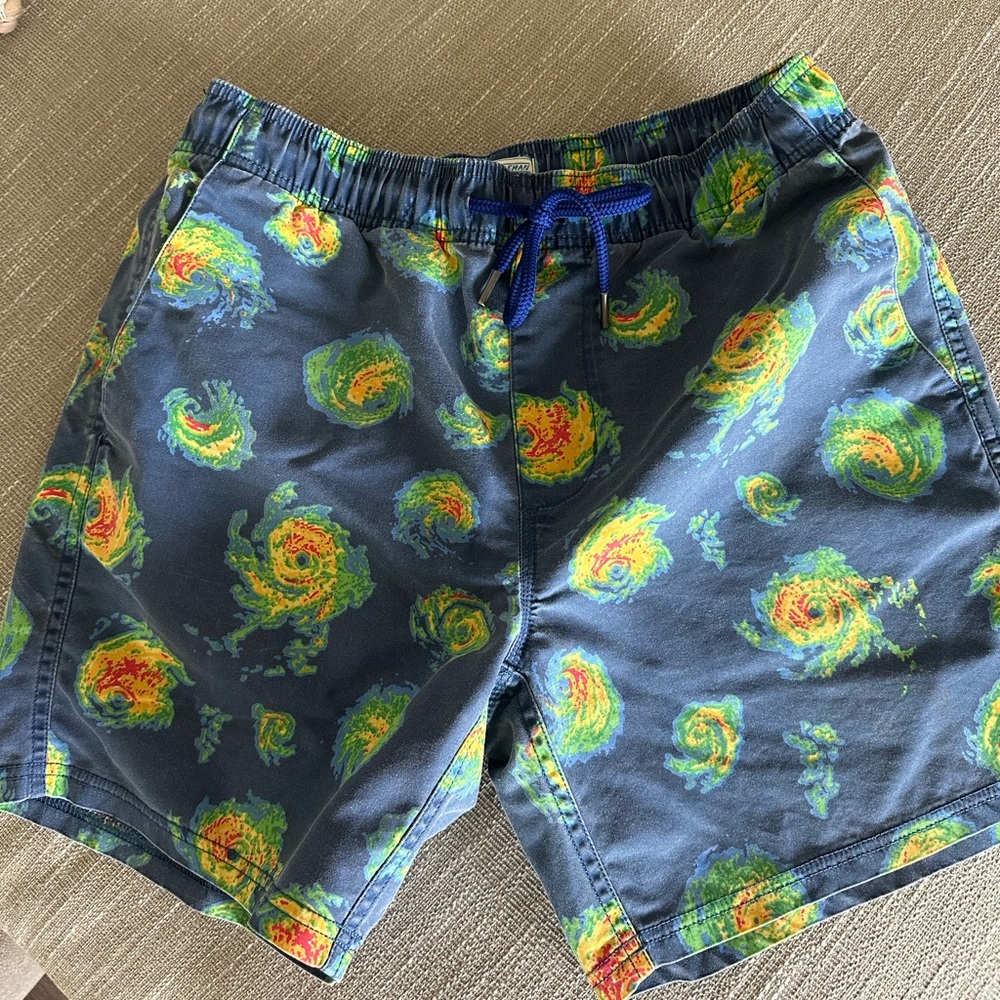 Rowdy Gentleman Hurricane Swim Trunks - Gem
